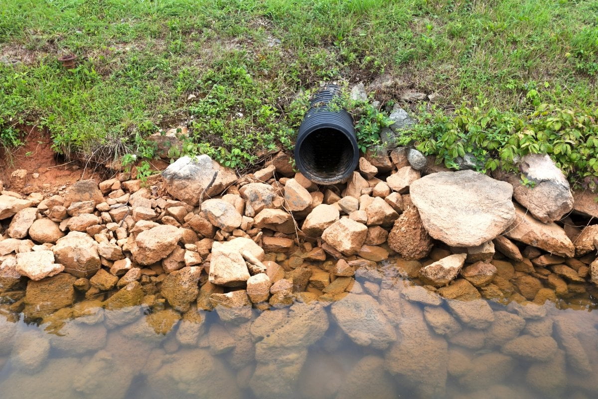 How To Improve Drainage In Soil And Keep Your Lawn Healthy