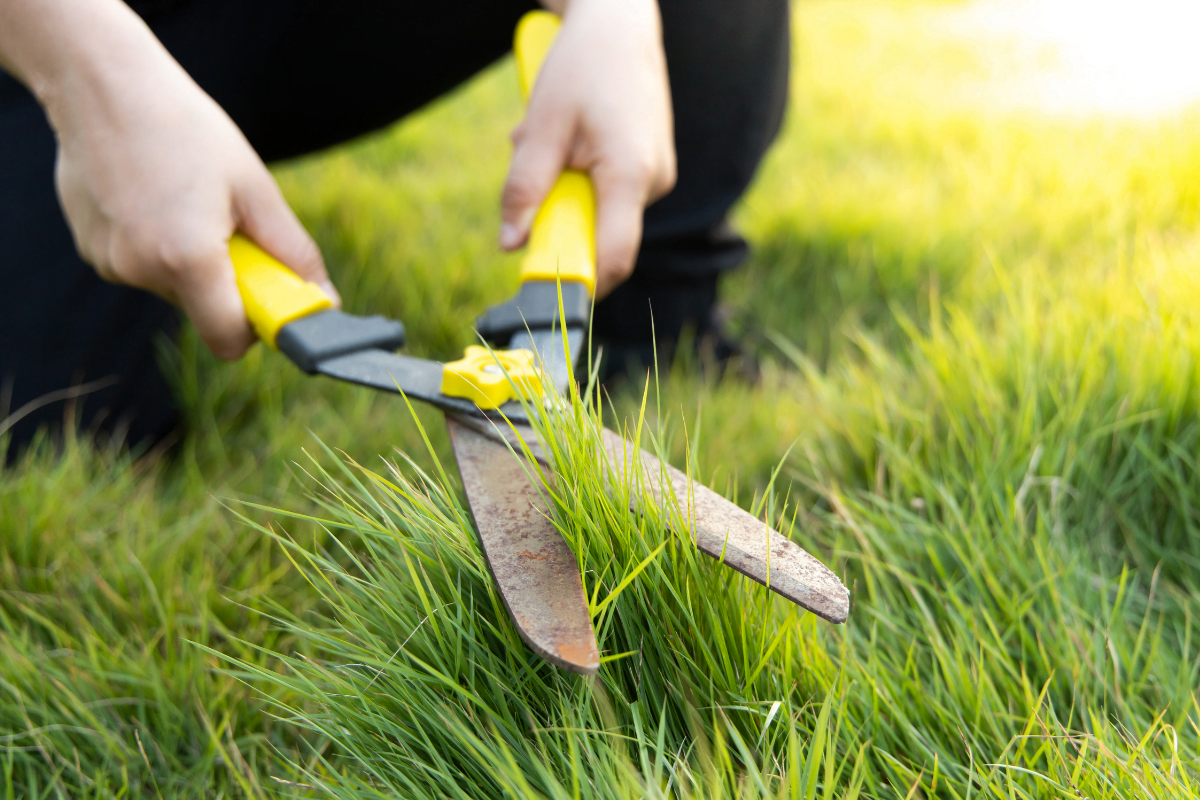 Expert Lawn Leveling Services for a Perfectly Smooth Yard