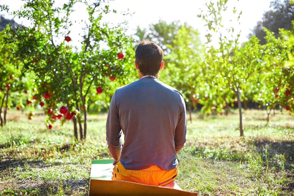 10 Ideas for Creating a Backyard Botanical Garden Oasis