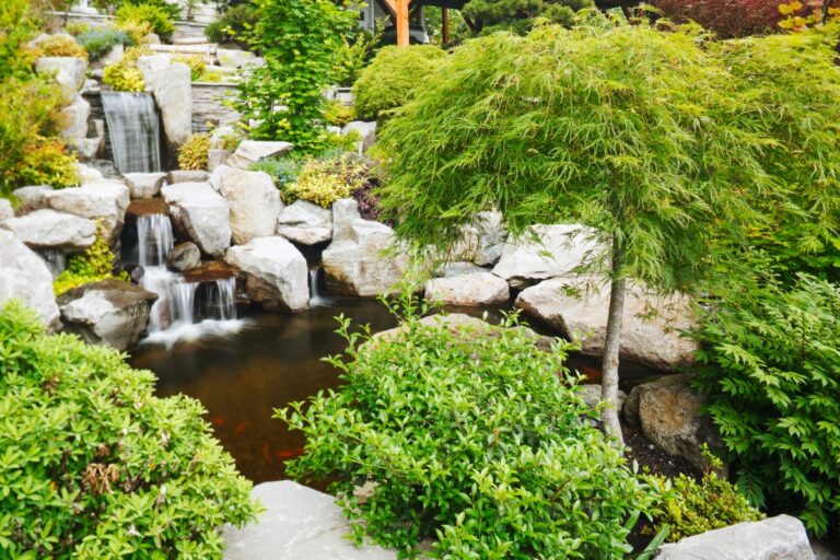 10 Ideas for Creating a Backyard Botanical Garden Oasis