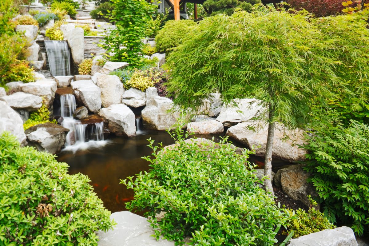 10 Ideas for Creating a Backyard Botanical Garden Oasis